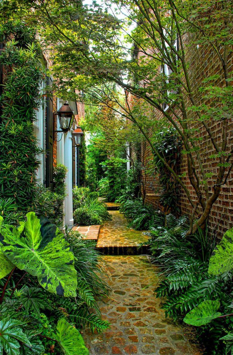 22 Narrow Shade Garden Ideas You Gonna Love | SharonSable