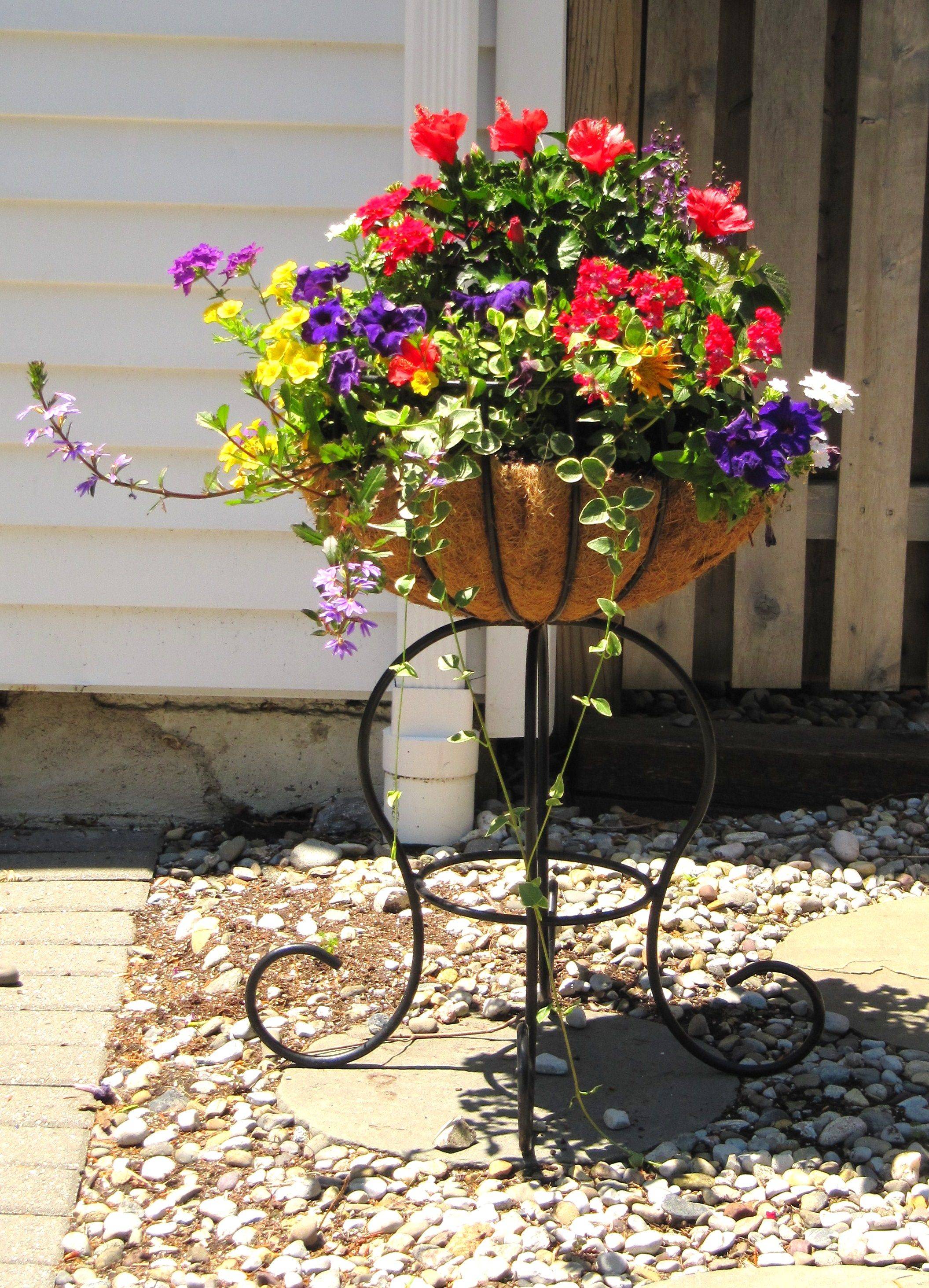 26 One-Pot Flower Garden Ideas Worth a Look | SharonSable