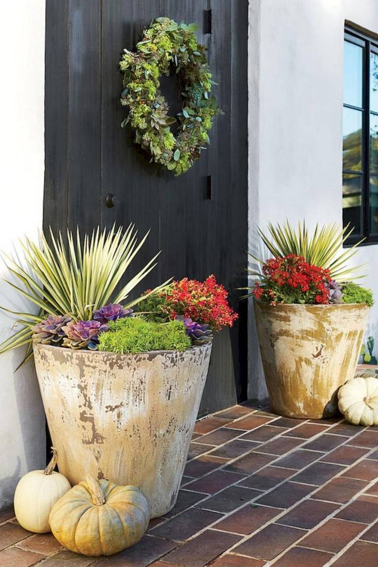 26 One-Pot Flower Garden Ideas Worth a Look | SharonSable