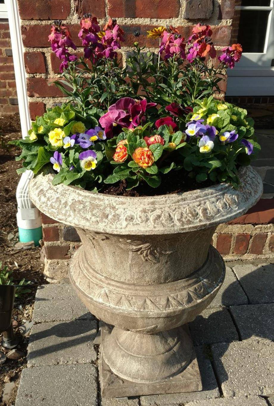 17 Spring Container Garden Ideas Worth a Look | SharonSable