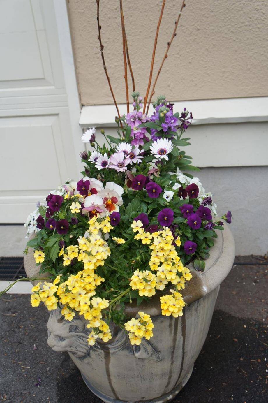 17 Spring Container Garden Ideas Worth a Look | SharonSable