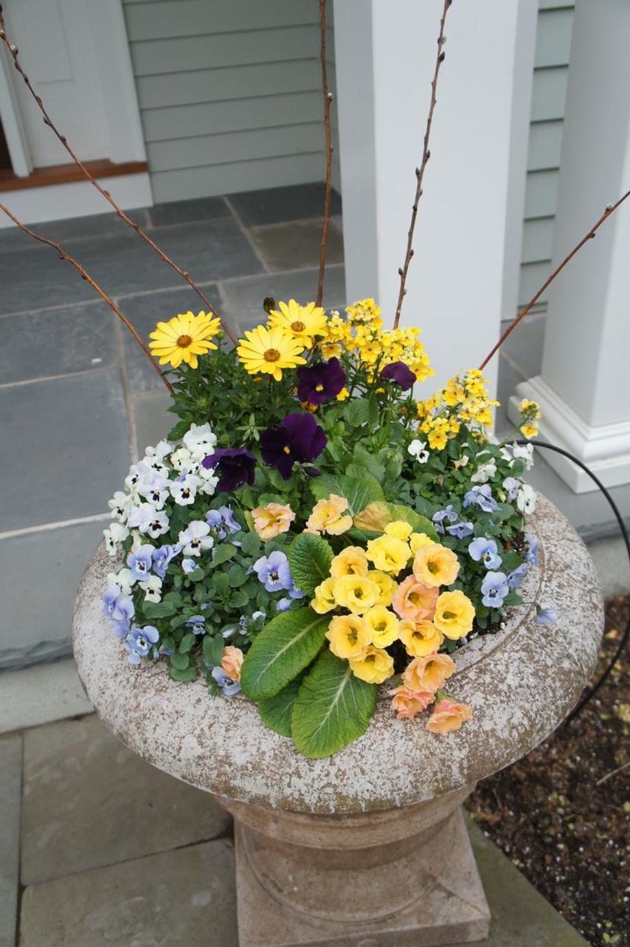 17 Spring Container Garden Ideas Worth a Look | SharonSable