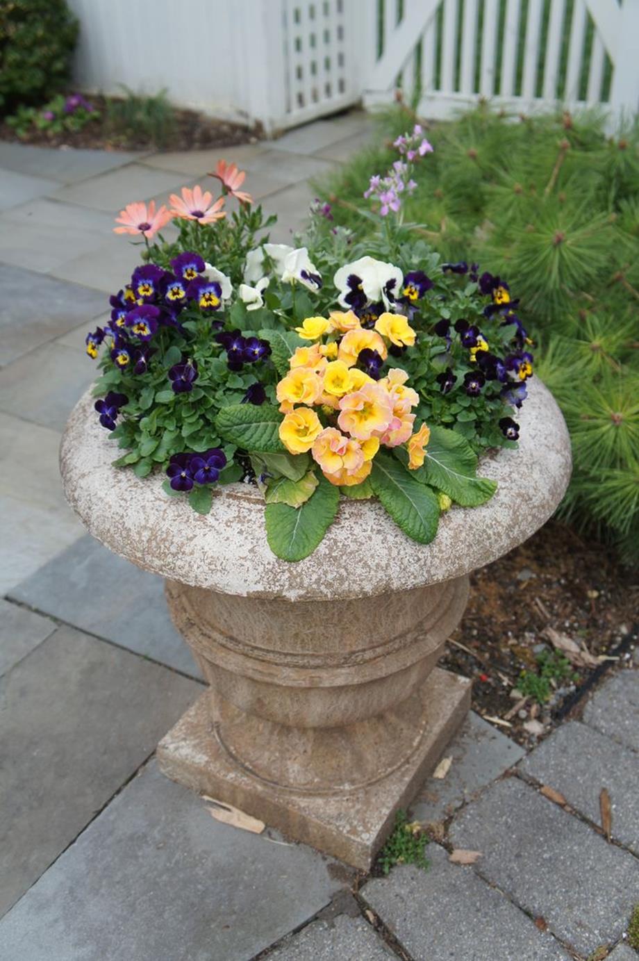 17 Spring Container Garden Ideas Worth a Look | SharonSable