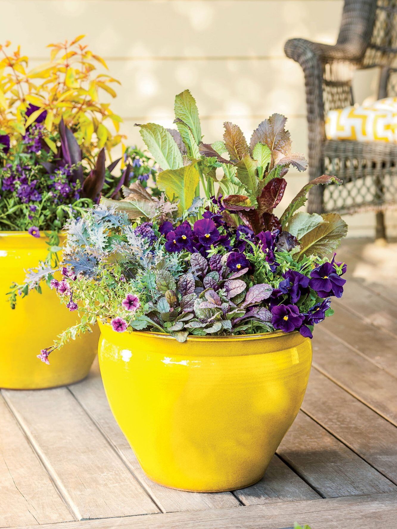 17 Spring Container Garden Ideas Worth a Look | SharonSable
