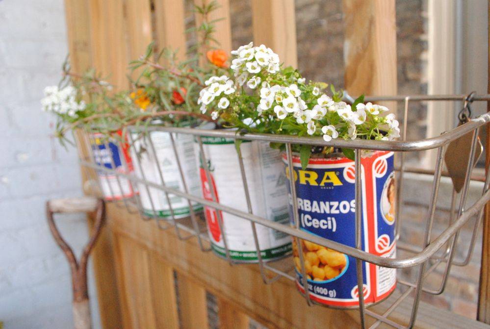 23 Garden Tin Cans Upcycle Ideas Worth a Look | SharonSable