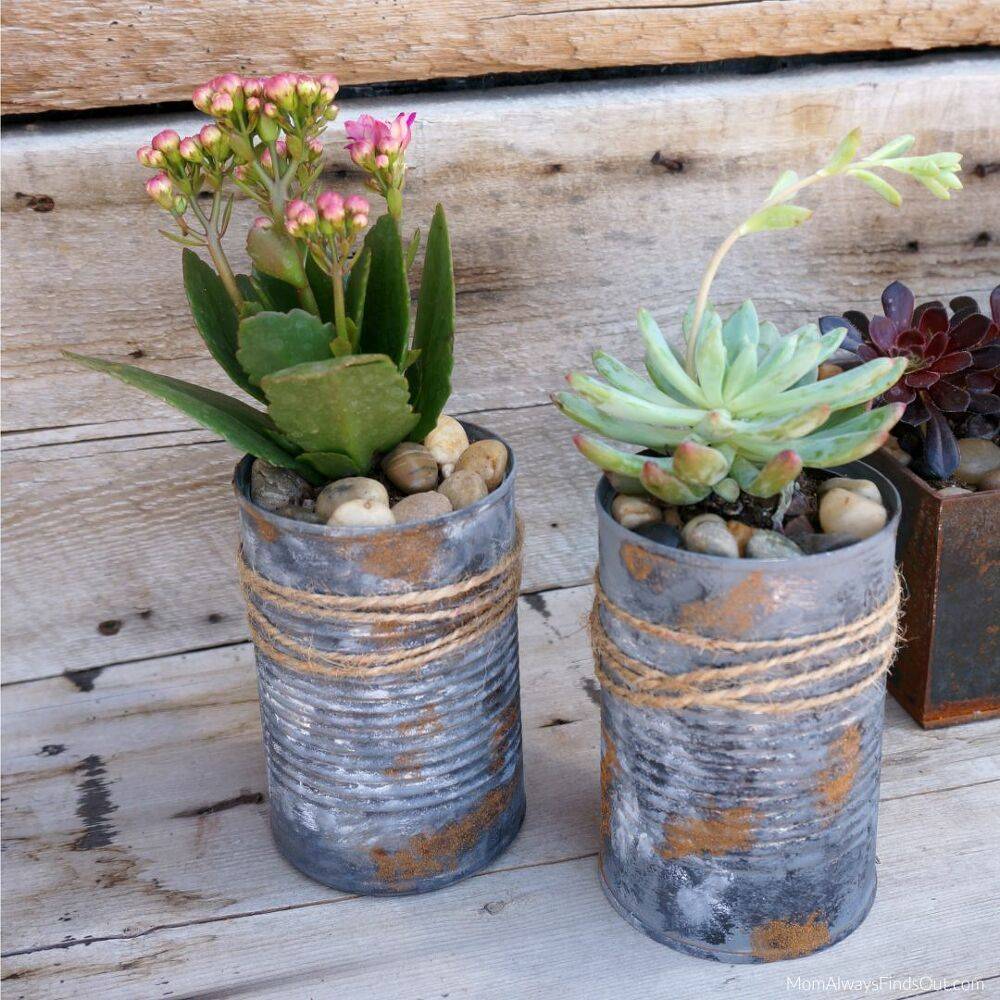 23 Garden Tin Cans Upcycle Ideas Worth a Look | SharonSable