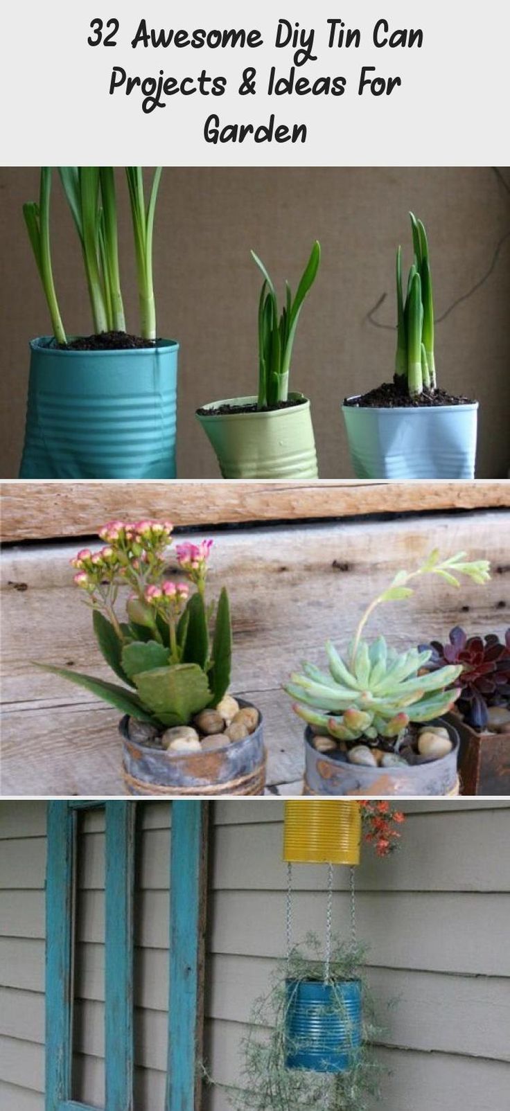 20 Tin Can Project for Garden Ideas You Should Check | SharonSable