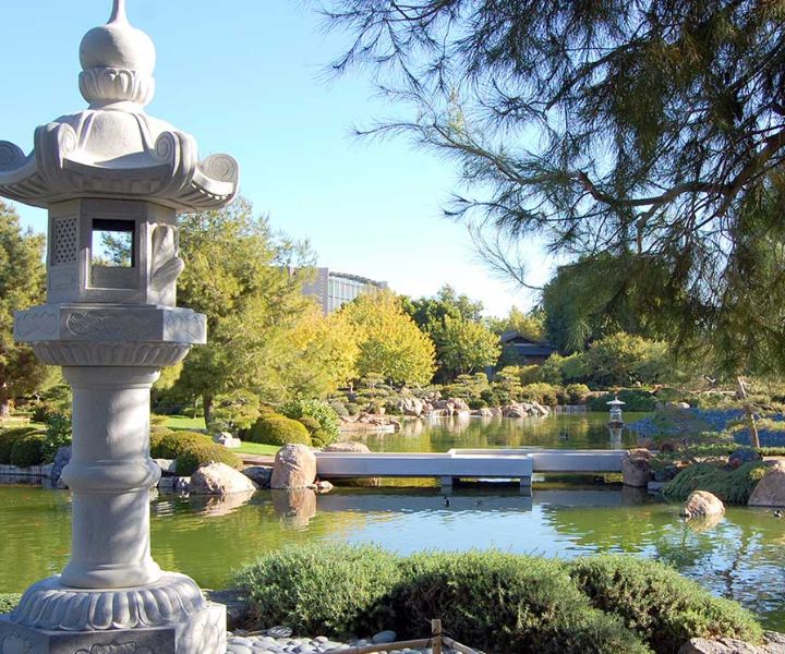 21 Japanese Garden Phoenix Ideas Worth to Check | SharonSable