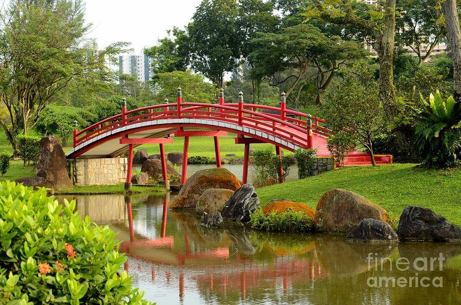 23 Chinese Garden Bridge Ideas To Consider | SharonSable