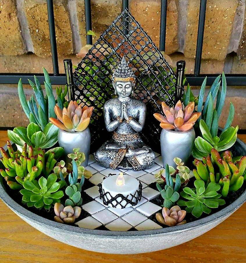 21 Cactus Zen Garden Ideas For This Year | SharonSable