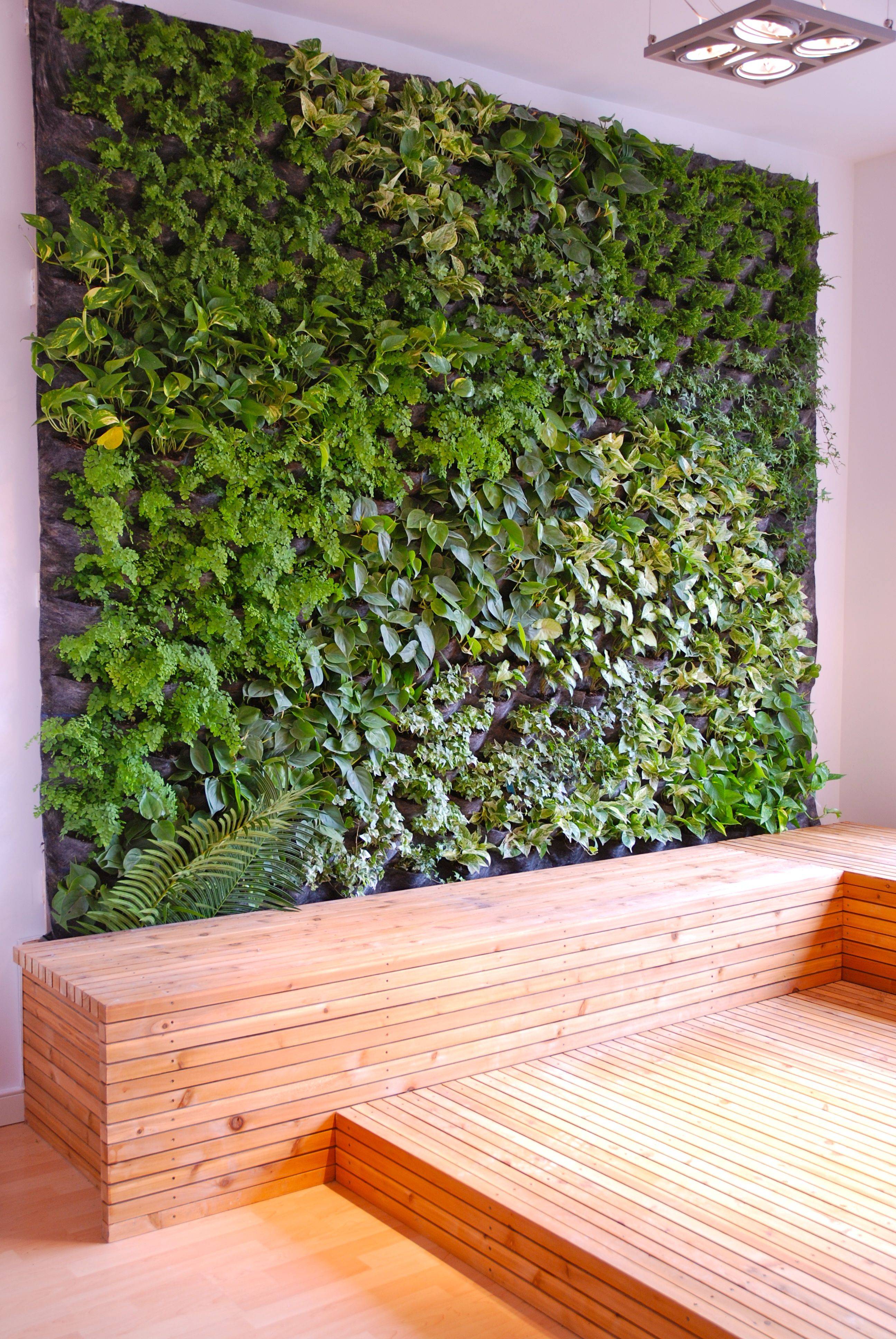 20 Diy Green Wall Vertical Garden Ideas You Cannot Miss Sharonsable