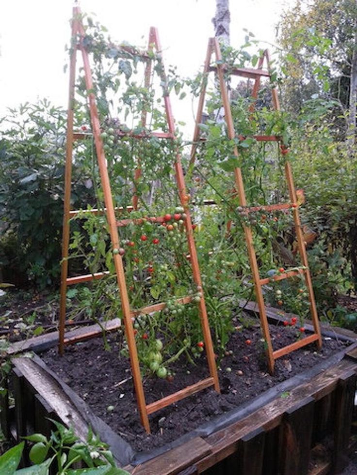 26 DIY Vegetable Garden Trellis Ideas For This Year | SharonSable