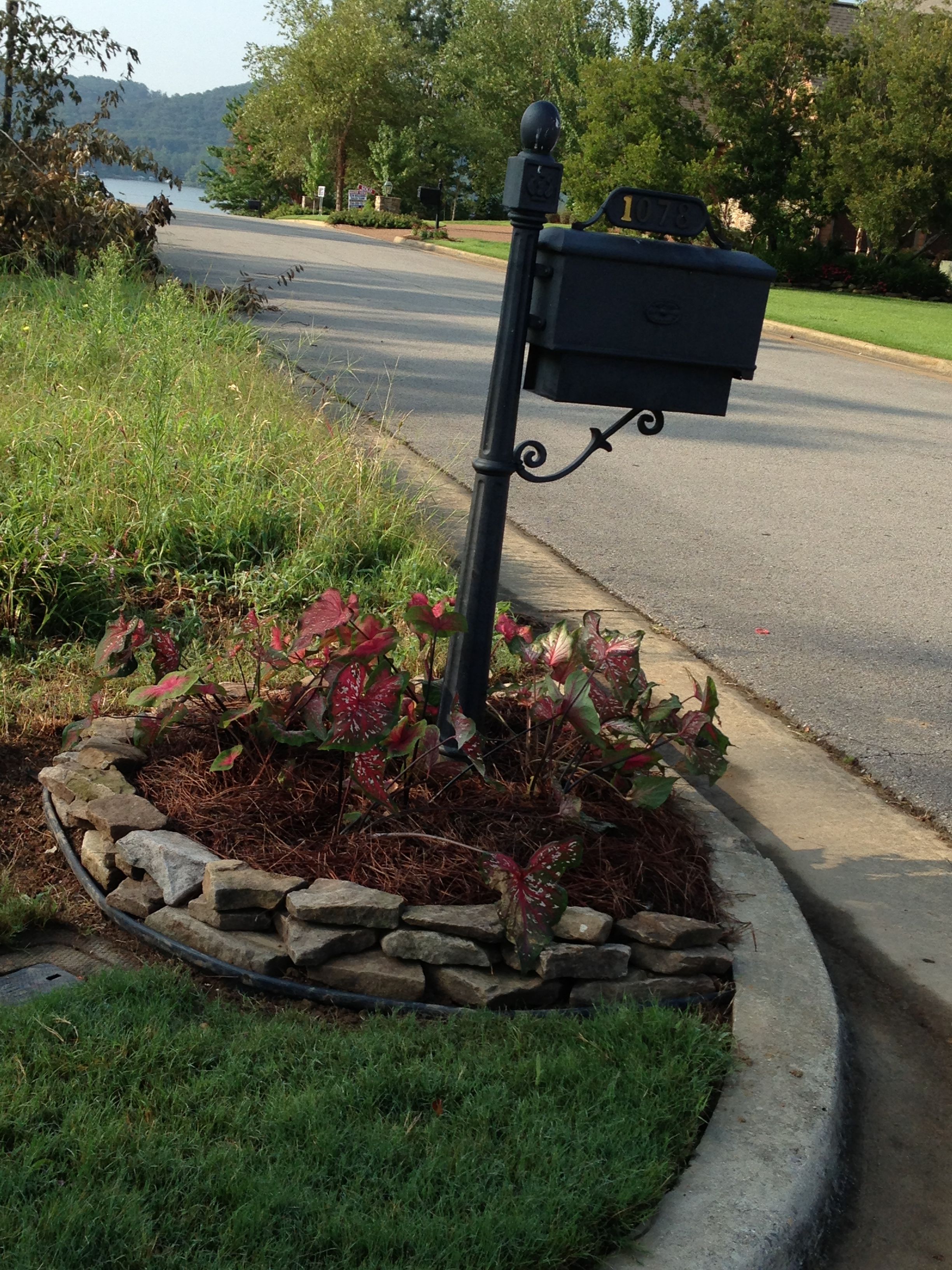 18 Garden Bed around Mailbox Ideas You Must Look | SharonSable