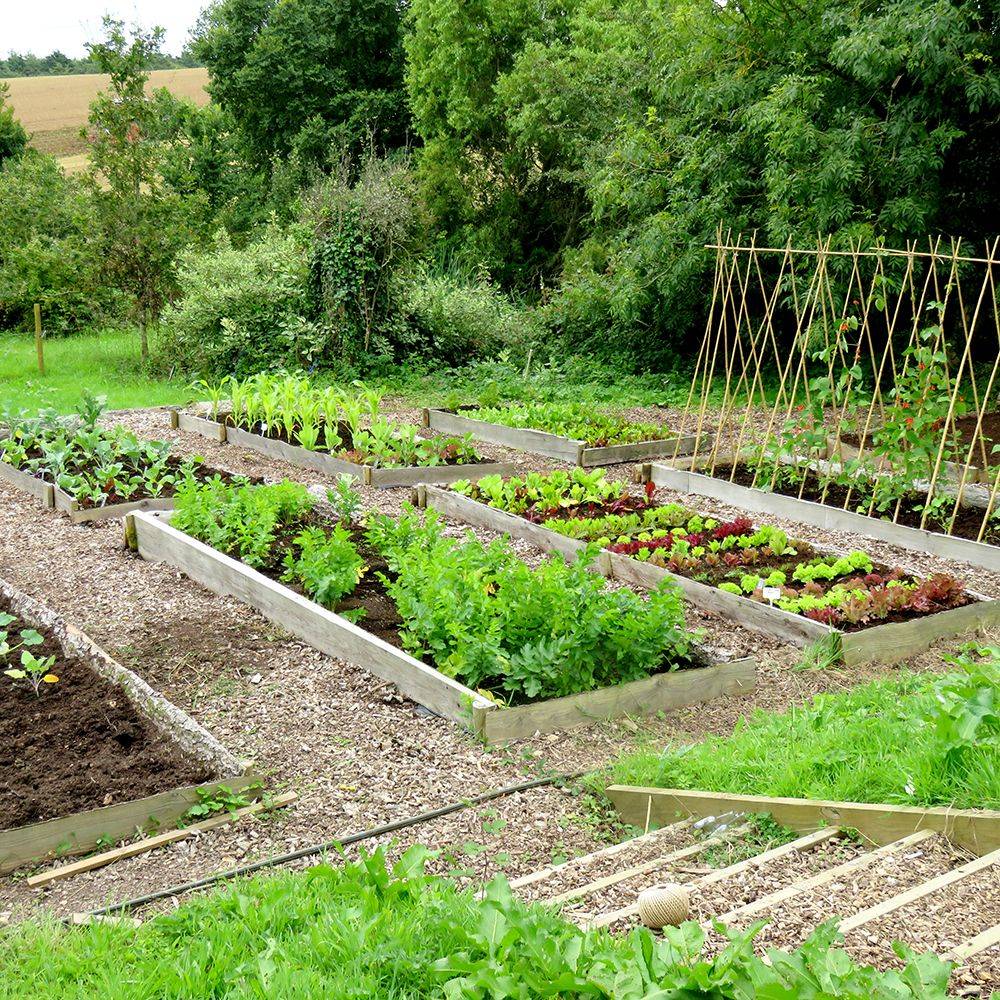 16 Round Vegetable Garden Design Ideas For This Year | SharonSable