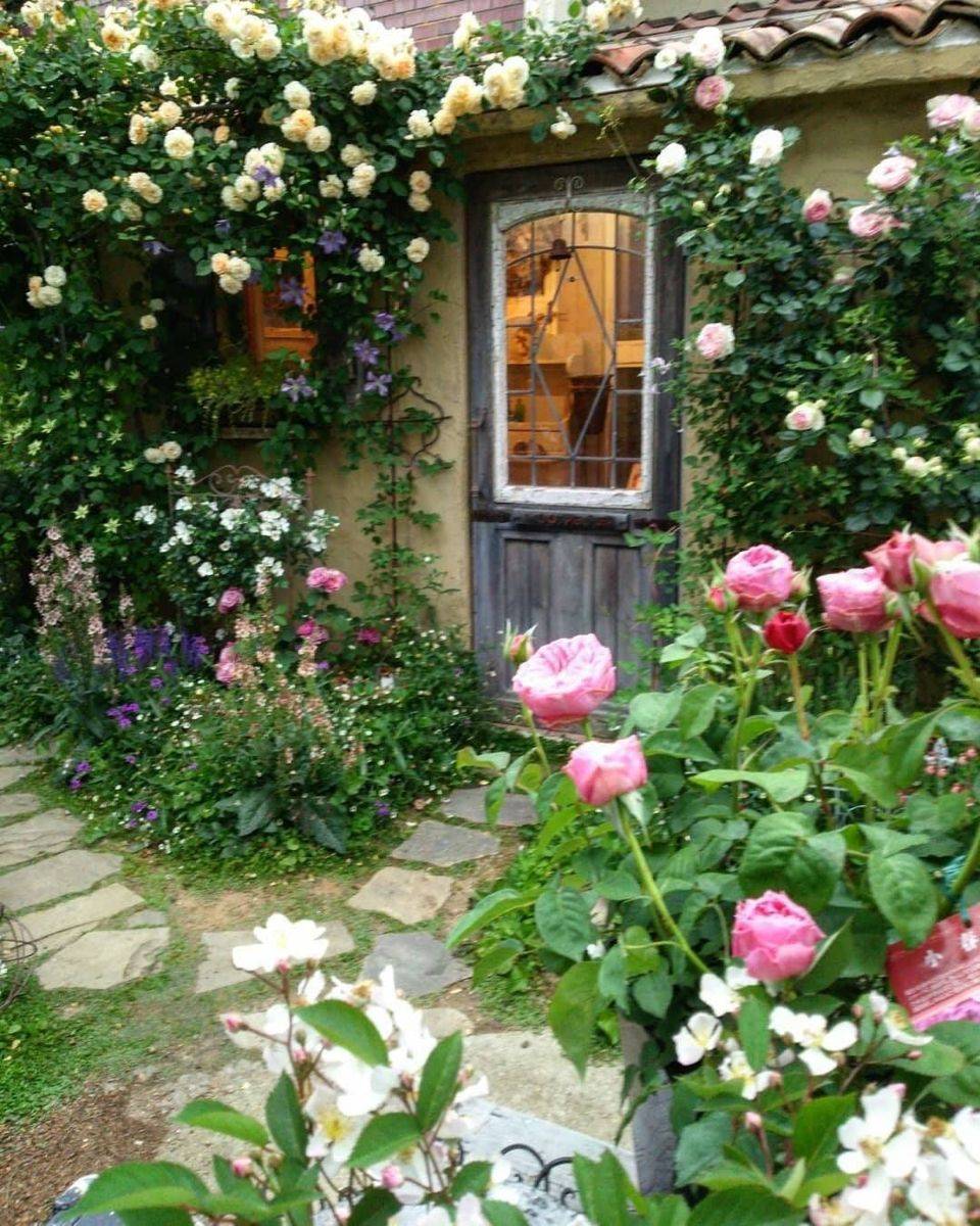 22 Rose Cottage Garden Design Ideas To Try This Year | SharonSable