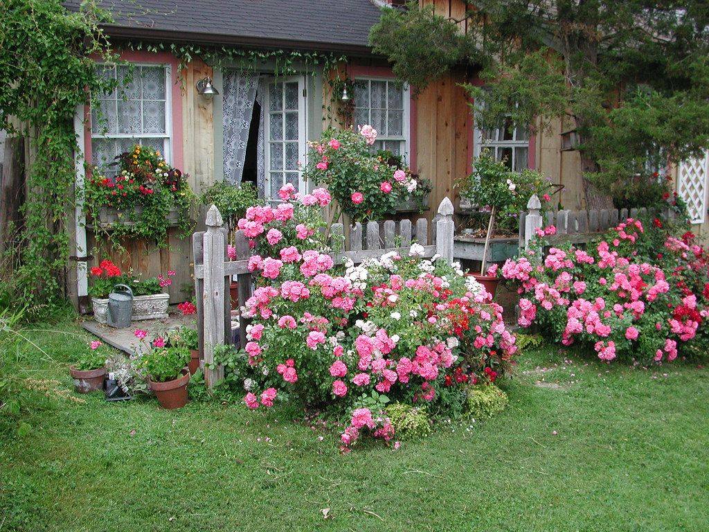 22 Rose Cottage Garden Design Ideas To Try This Year | SharonSable
