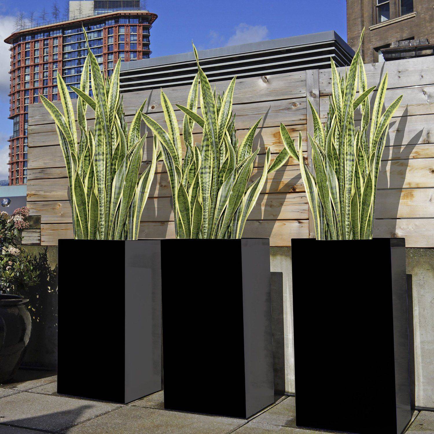 20 Contemporary Garden Planters Ideas You Cannot Miss | SharonSable