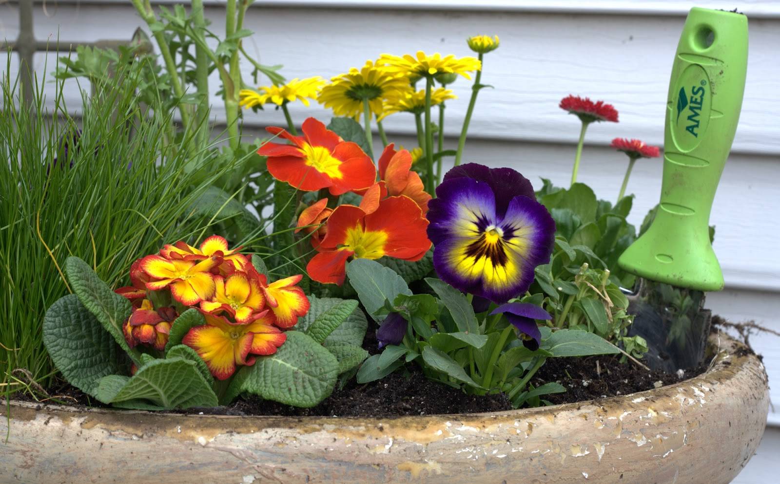 20 Colorful Spring Garden Ideas You Must Look | SharonSable