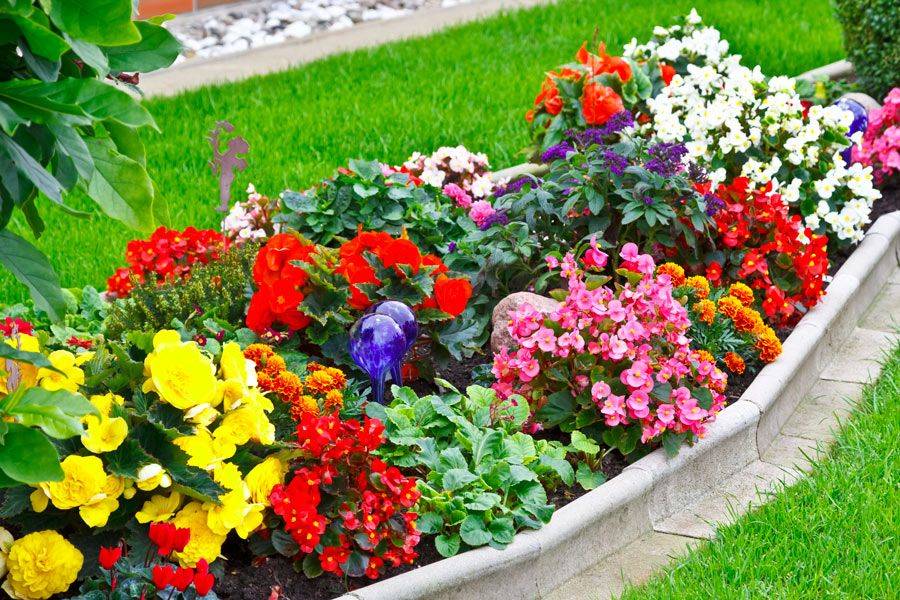 20 Colorful Spring Garden Ideas You Must Look | SharonSable