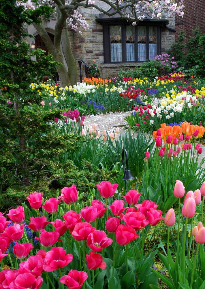 20 Colorful Spring Garden Ideas You Must Look | SharonSable
