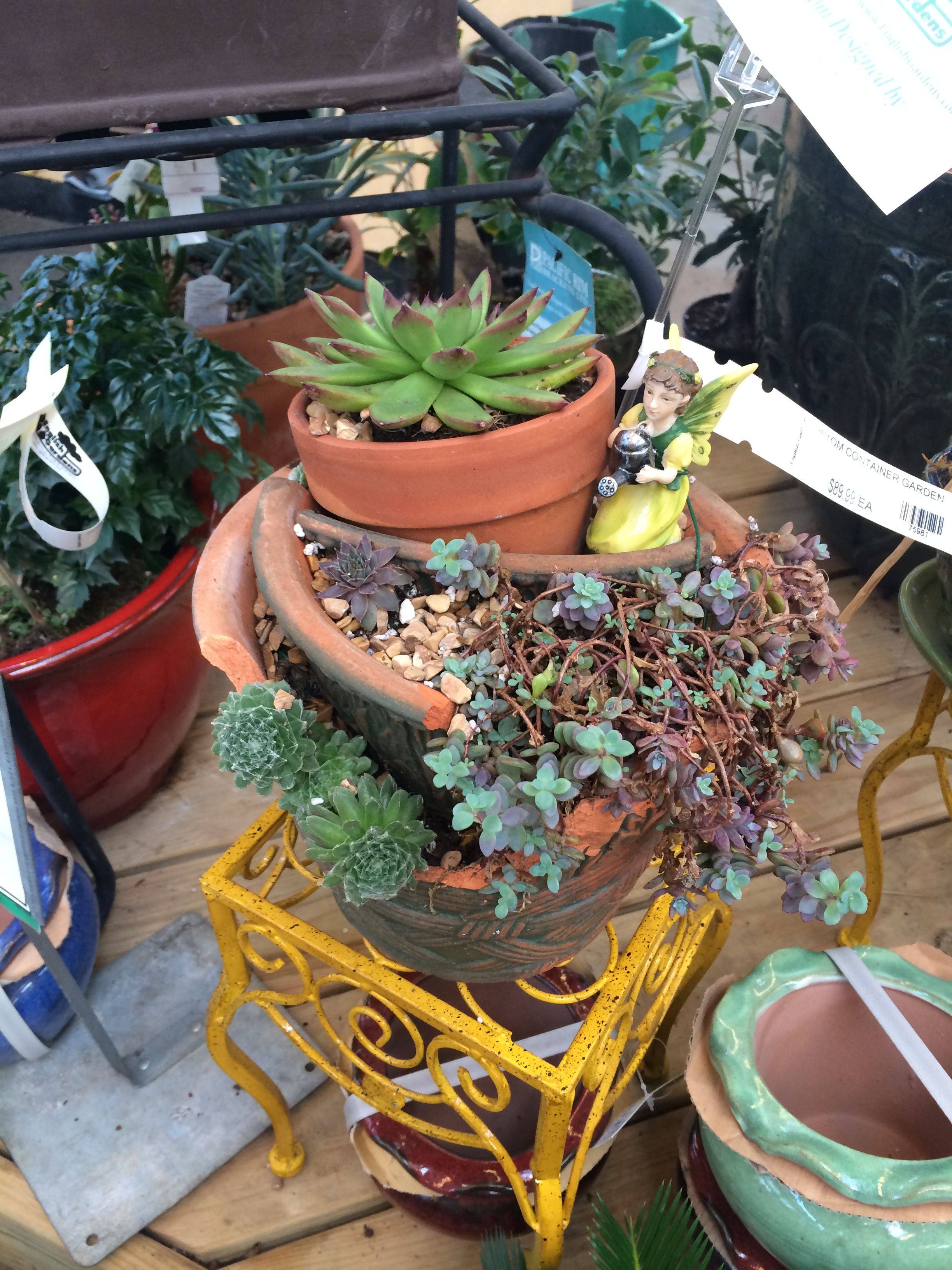 22 Broken Pot Succulent Fairy Garden Ideas You Cannot Miss | SharonSable
