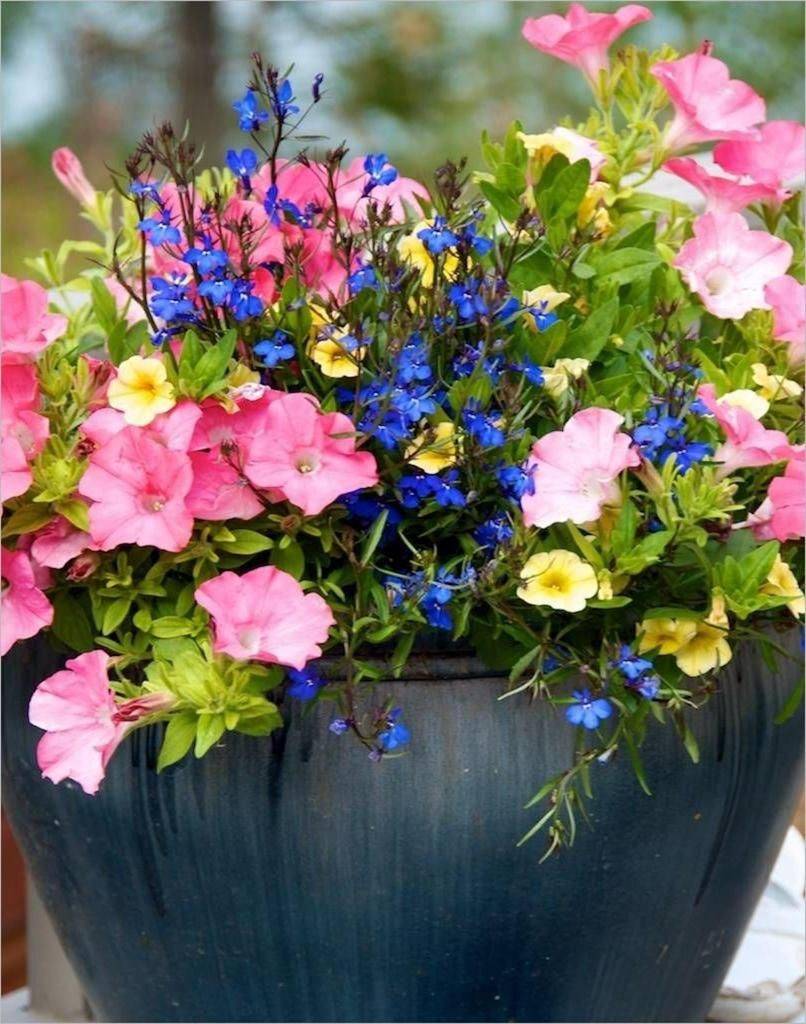 24 Vegetable Flower Garden Combination Ideas You Should Look | SharonSable