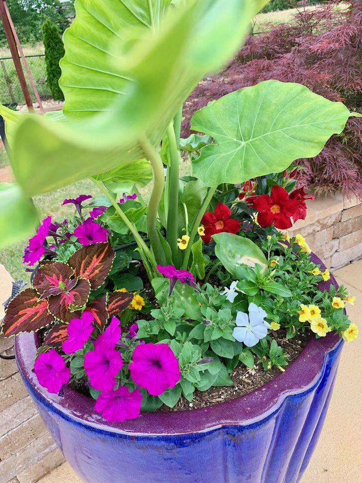 20 Small Garden Seed Planters Ideas To Try This Year Sharonsable