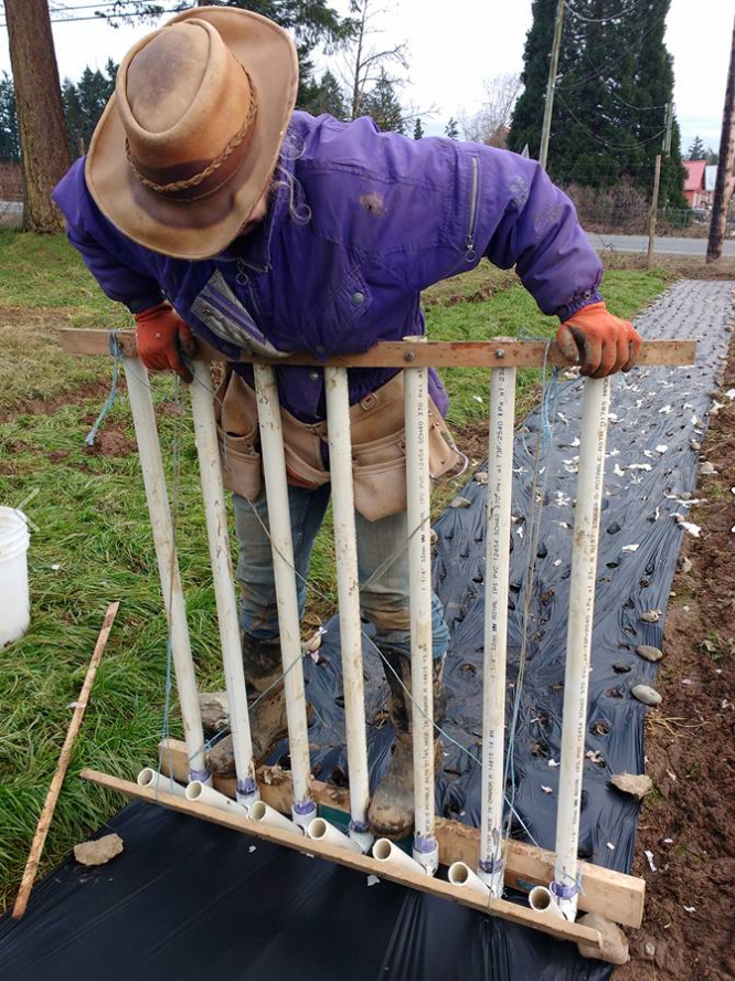 20 Small Garden Seed Planters Ideas To Try This Year | SharonSable