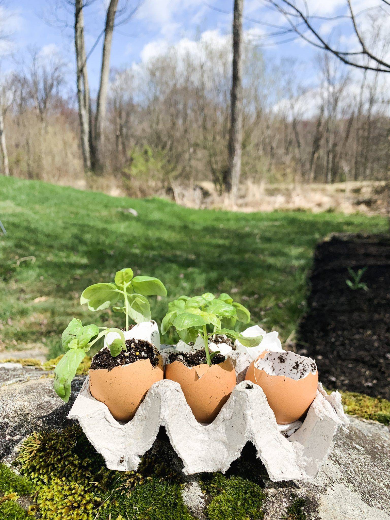 18 Family Vegetable Garden Ideas Worth to Check | SharonSable