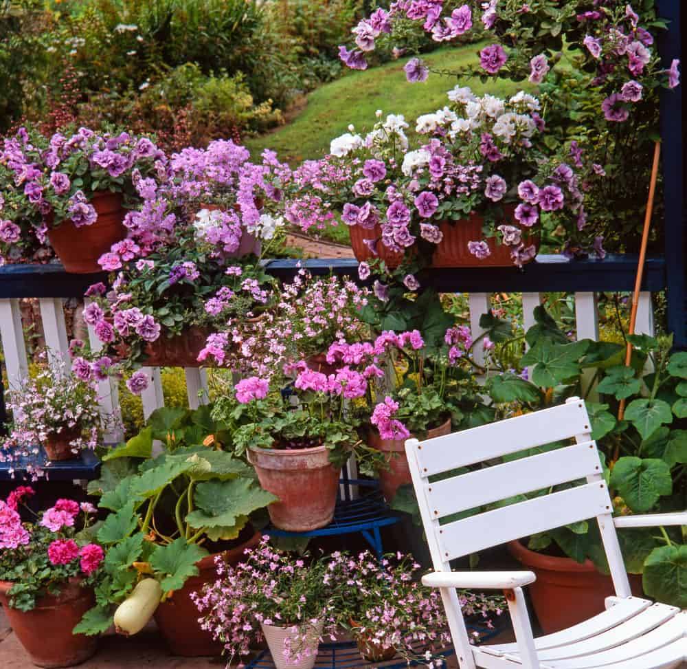 23 Rooftop Flower Garden Ideas Worth to Check | SharonSable