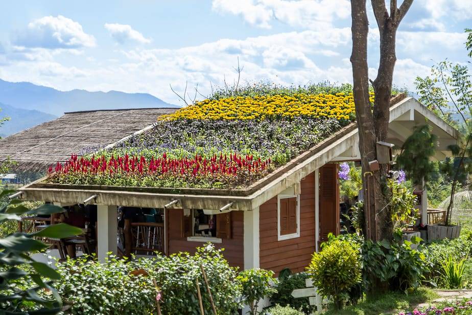 23 Rooftop Flower Garden Ideas Worth to Check | SharonSable