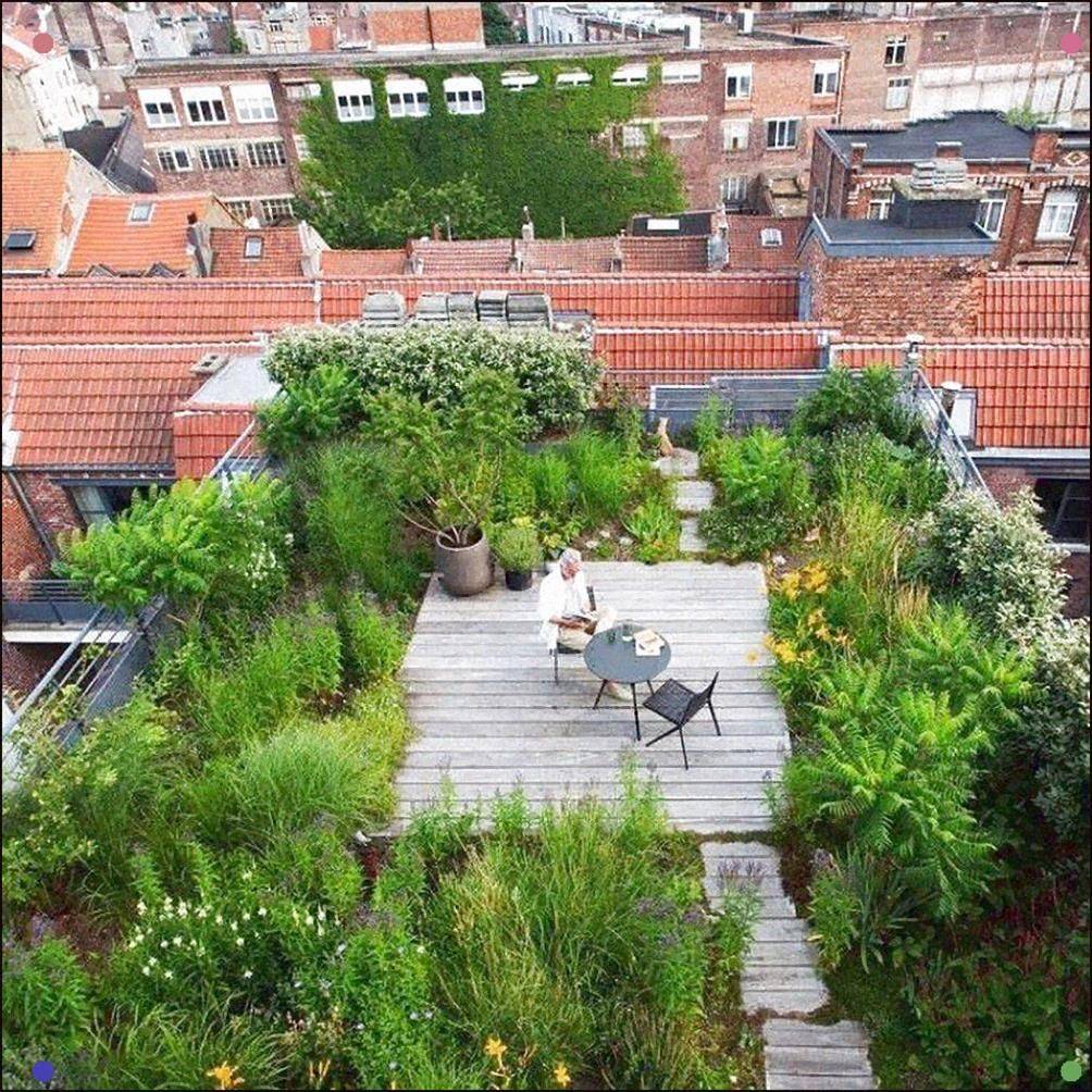 19 Nice Rooftop Garden Ideas For This Year | SharonSable