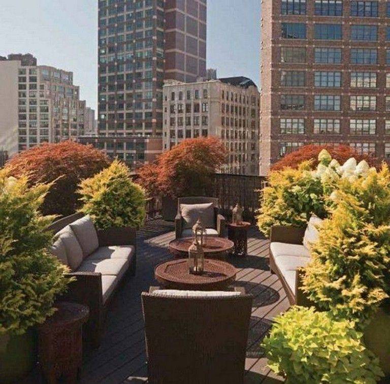 20 Rooftop Garden NYC Ideas To Consider | SharonSable