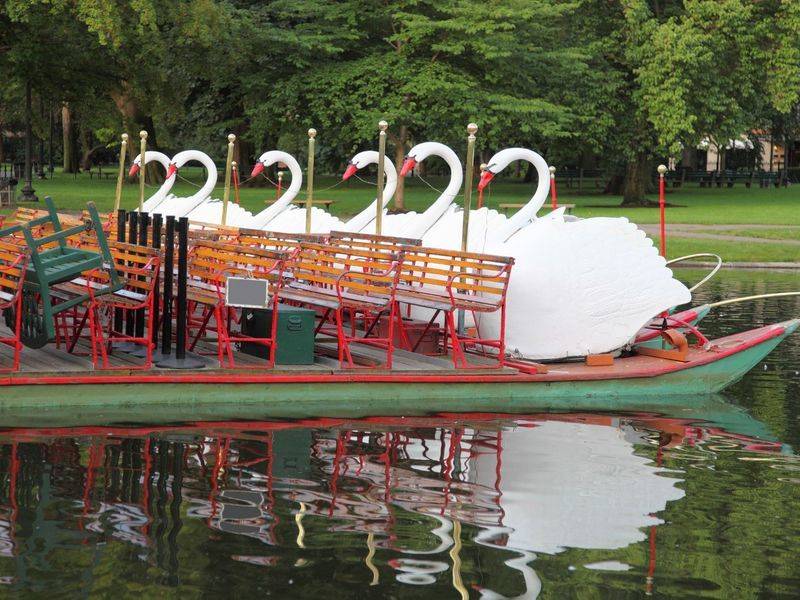 14 Brookgreen Garden Boat Rides Ideas To Consider | SharonSable