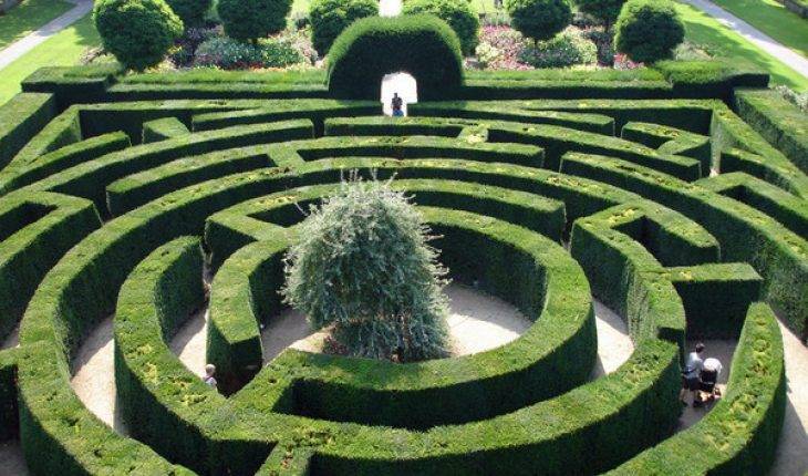 23 Garden Maze Ideas You Must Look | SharonSable