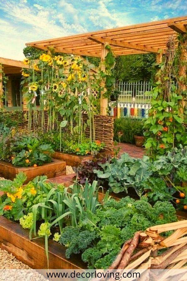 16 Vegetable Garden Top View Ideas You Cannot Miss | SharonSable