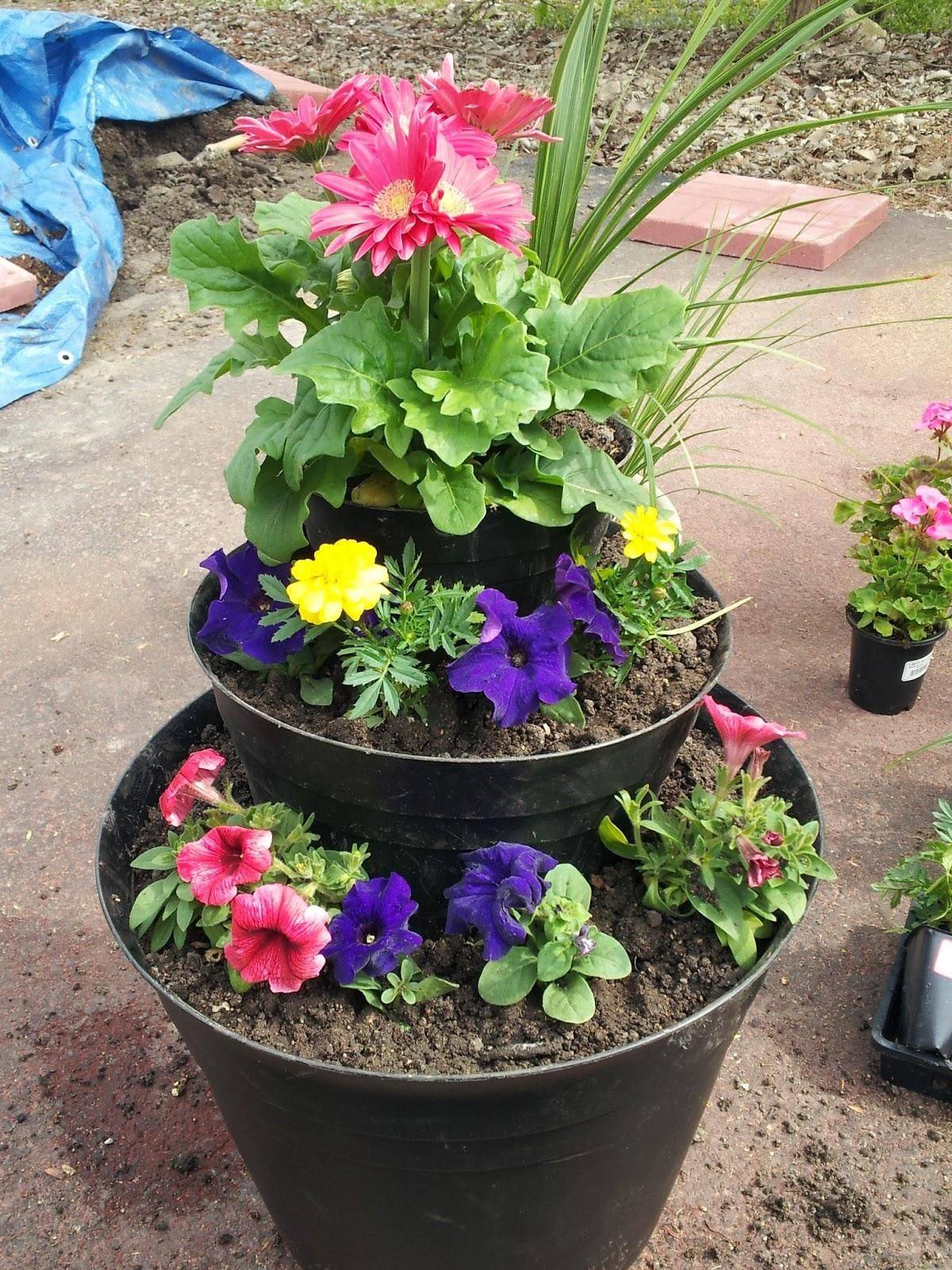 23 Flower Garden Product Ideas Worth to Check | SharonSable