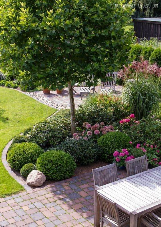 22 Best Small Garden Trees Ideas You Gonna Love | SharonSable