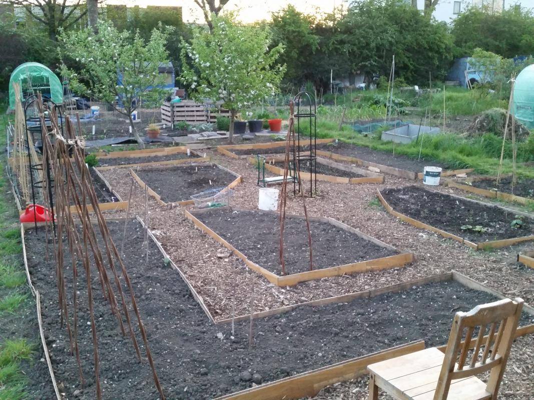 21 UK Allotment Garden Ideas You Should Check | SharonSable