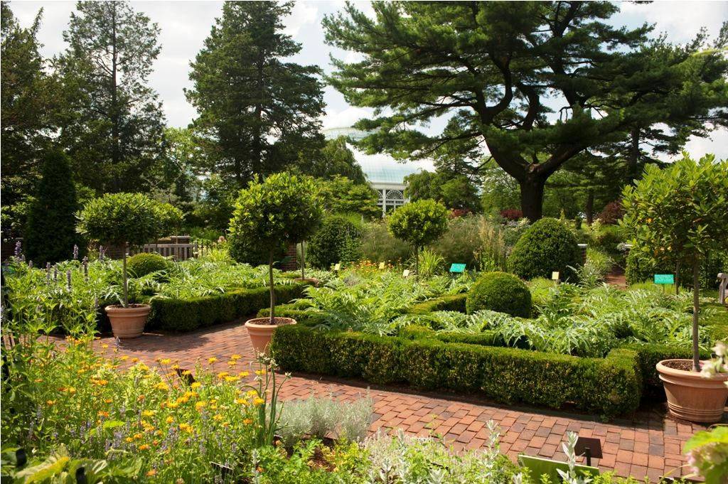 13 Martha Stewart Garden Ideas You Cannot Miss | SharonSable