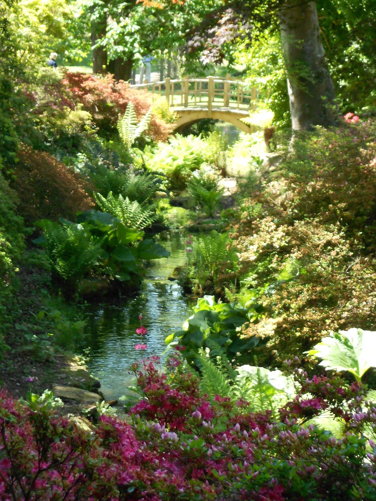 24 Exbury Garden Ideas Worth a Look | SharonSable