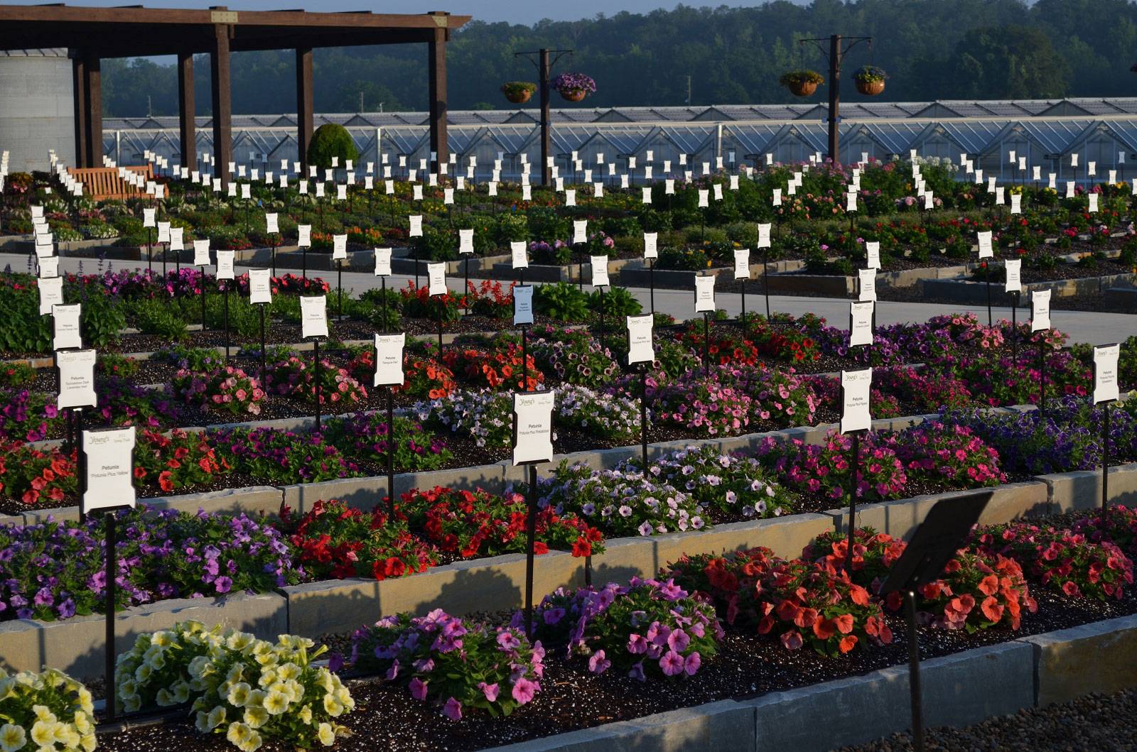 18 Trial Garden Ideas To Try This Year | SharonSable