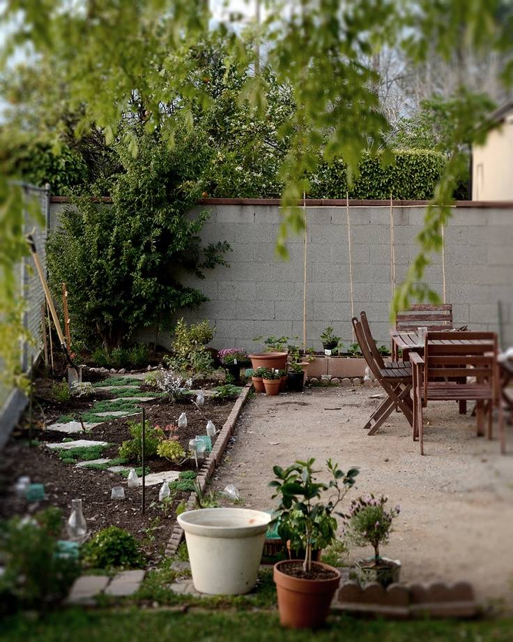 18 Trial Garden Ideas To Try This Year | SharonSable