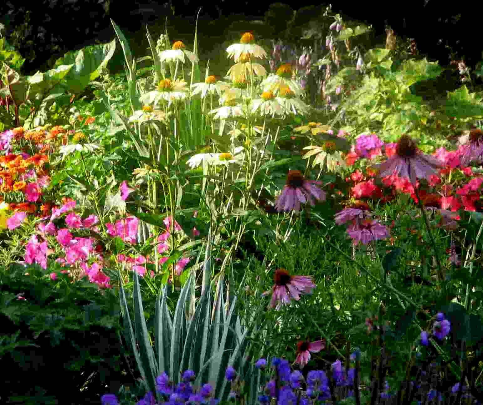 23 Easy Perennial Garden Ideas For This Year | SharonSable