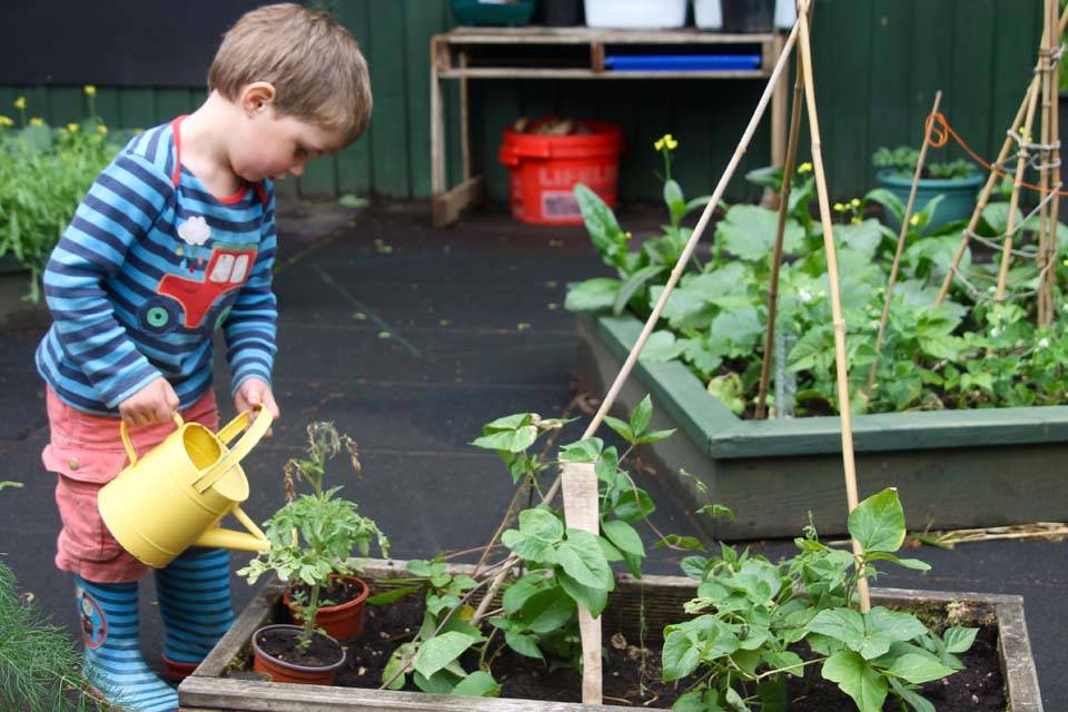 21 Nursery School Garden Ideas Worth a Look | SharonSable
