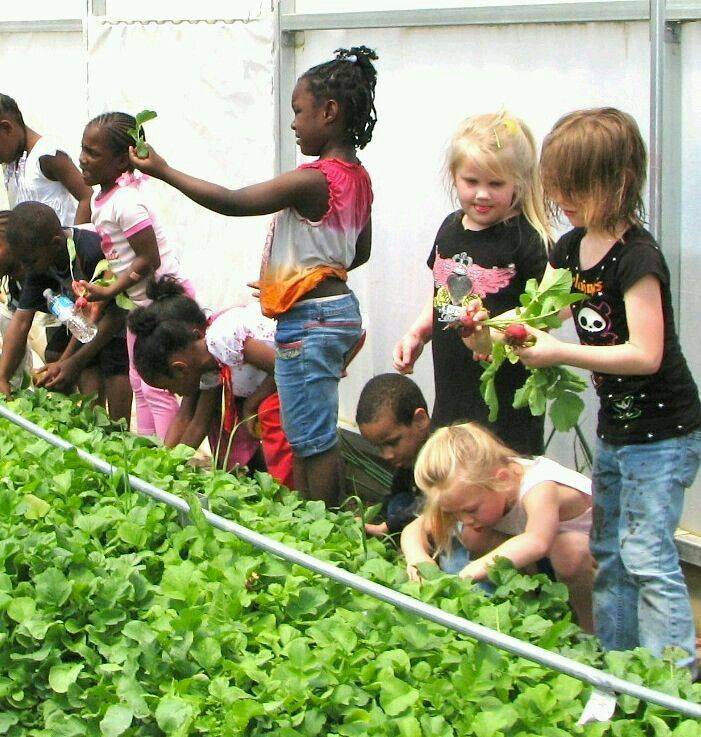 20 School Food Garden Ideas Worth a Look | SharonSable