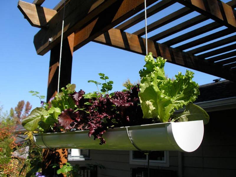 20 Hanging Gutter Garden Ideas You Must Look | SharonSable