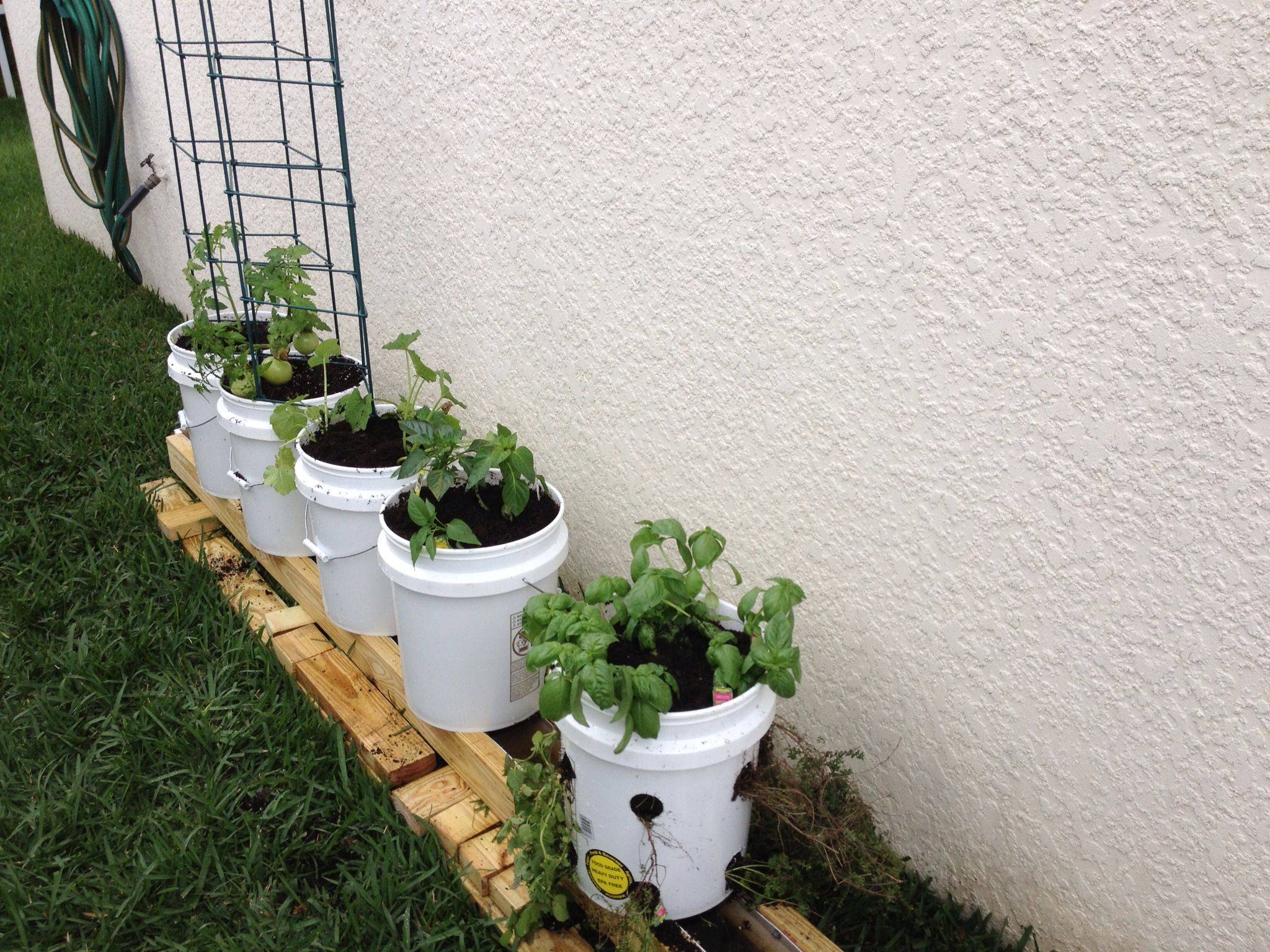 20 Best Plants for Gutter Garden Ideas You Should Look | SharonSable