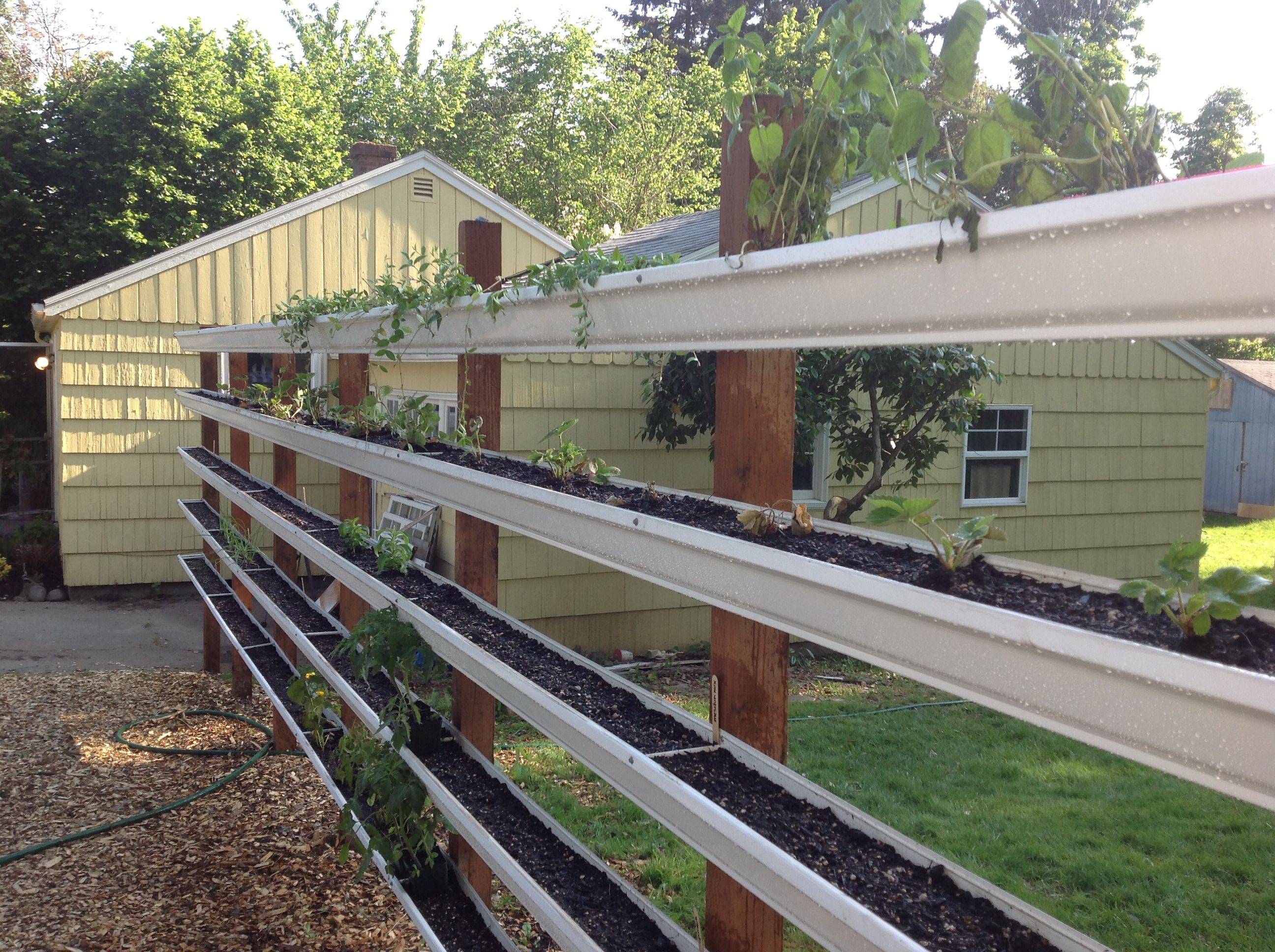 21 Rain Gutter Garden On Fence Ideas You Should Check | SharonSable