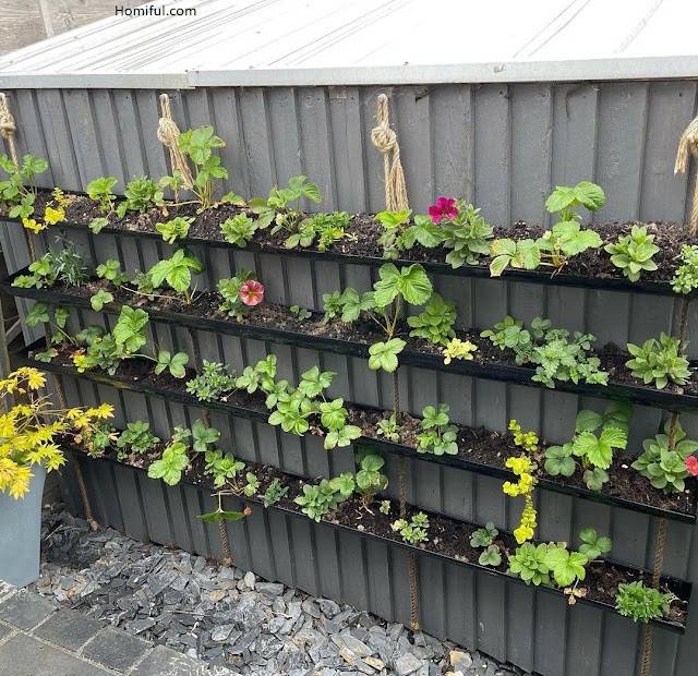 21 Rain Gutter Garden On Fence Ideas You Should Check | SharonSable